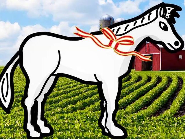 27 Who Does Mollie Symbolize In Animal Farm PNG Viral News Live Video 27-who-does-mollie-symbolize-in-animal-farm-png-viral-news-live-video