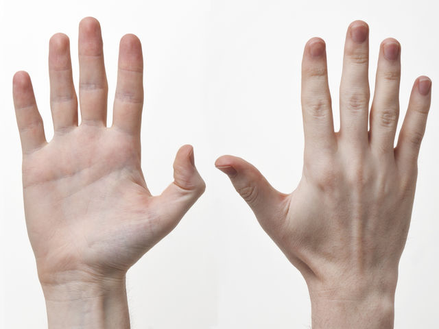 The Easiest Anatomy Quiz You ll Ever Take Playbuzz