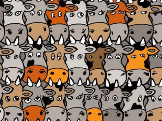 Can You Find The Dog? | Playbuzz