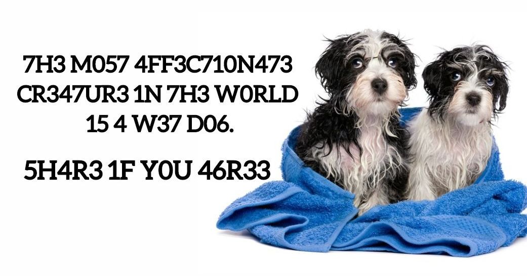 Your IQ Is 153+ If You Pass This Encrypted Animal Vocabulary Test ...