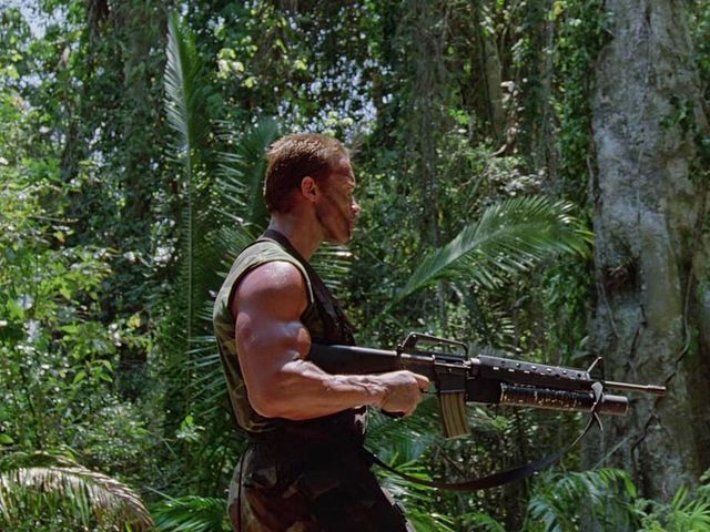 How well do you know Predator? | Playbuzz