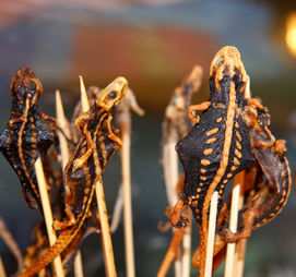 Can You Tell The Difference Between Chinese Foods And Instruments ...