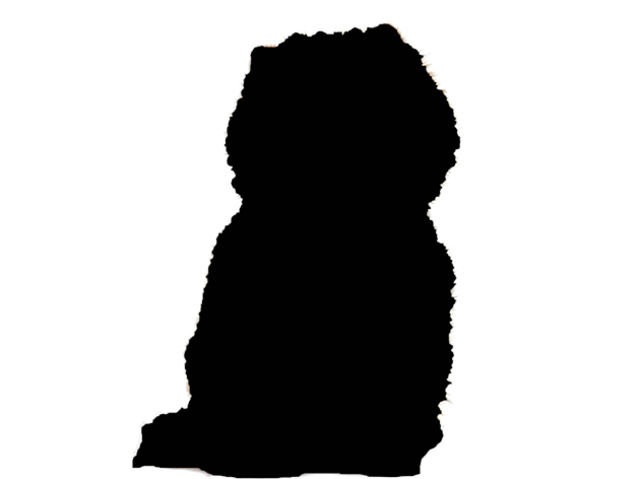 Name The Dog Breed From The Shadow! | Playbuzz