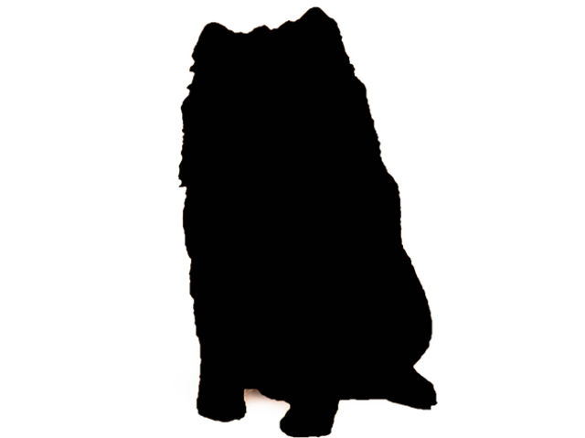 Name The Dog Breed From The Shadow! | Playbuzz