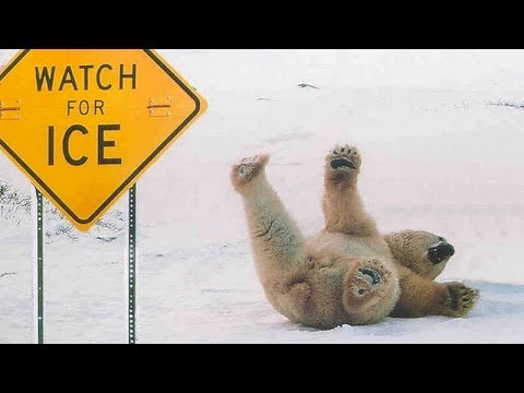 Single file racing - Moto-Related - Motocross Forums / Message Boards ...