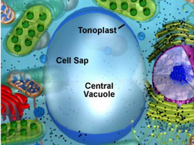 University Challenge: How would you have fared? | Playbuzz