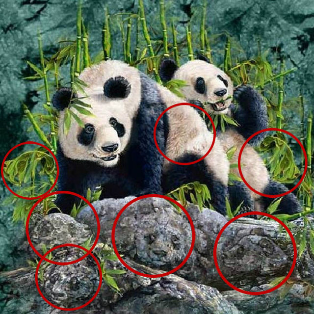 How Many Hidden Pandas Can You Find In This Picture? | Playbuzz
