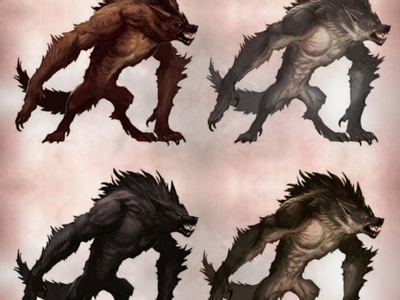 What type of werewolf are you? | Playbuzz
