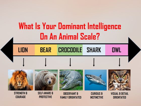 What Is Your Dominant Intelligence On An Animal Scale? | Playbuzz