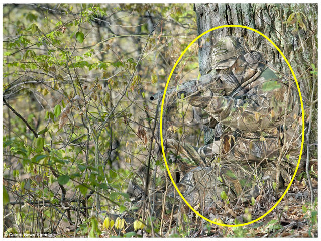95% Of People Can't Spot These Soldiers In Full Camouflage - Can You ...
