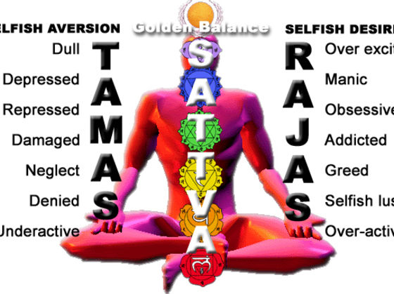 What is your blend of Tamasic, Rajasic and Satvik qualities as per ...