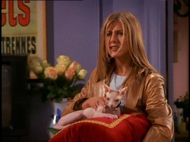 How well do you know the friends characters | Playbuzz