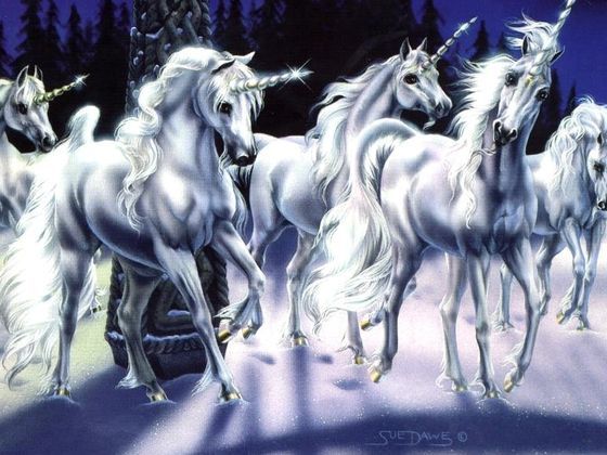 What type of Unicorn are you? | Playbuzz