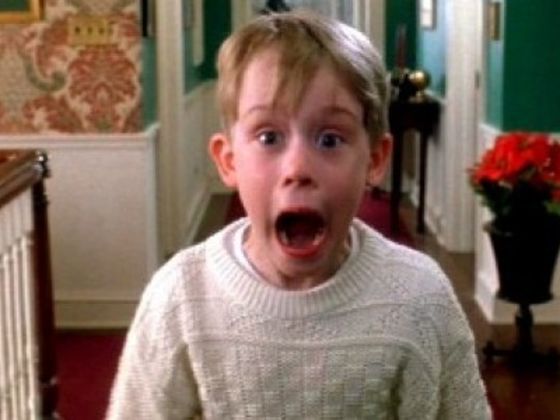 How Well Do You Remember The 'Filthy Animal' Scene In Home Alone ...