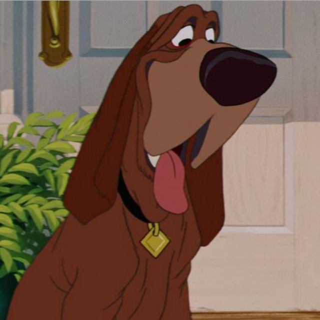 23 Disney Dogs That We All Want As Pets | PlayBuzz