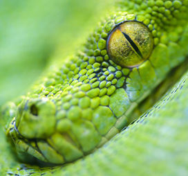 Are You More Lord of The Rings or Star Wars? | Playbuzz