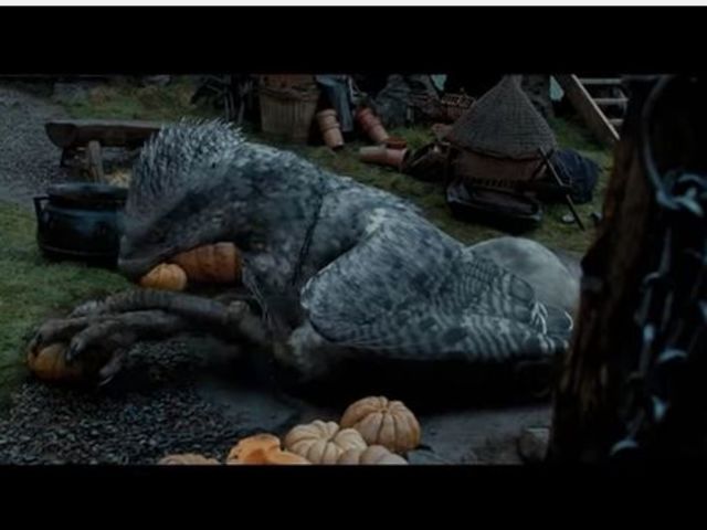 How Well Do You Remember Hagrid's Pets? | Playbuzz