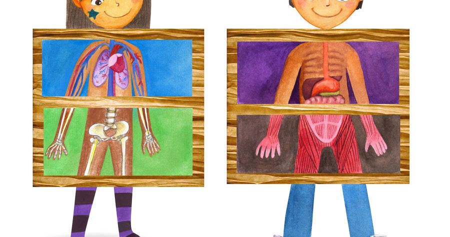 How Well Do You Know the Human Anatomy | Playbuzz