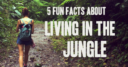 5 Fun Facts About Living In The Jungle | Playbuzz