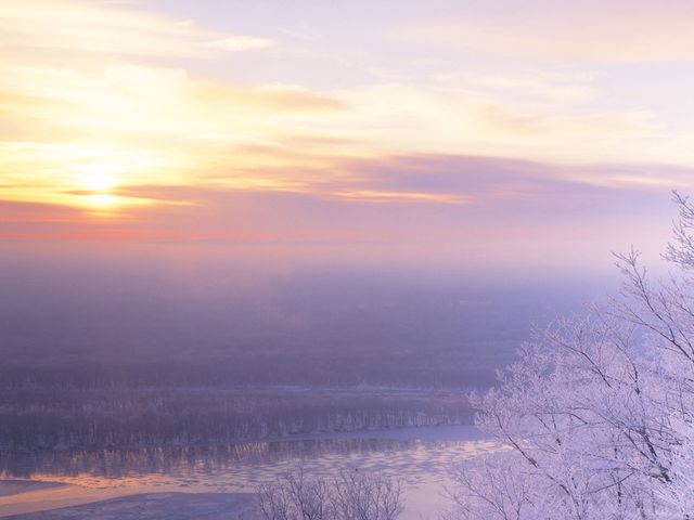 Which fantasy creature are you? | Playbuzz