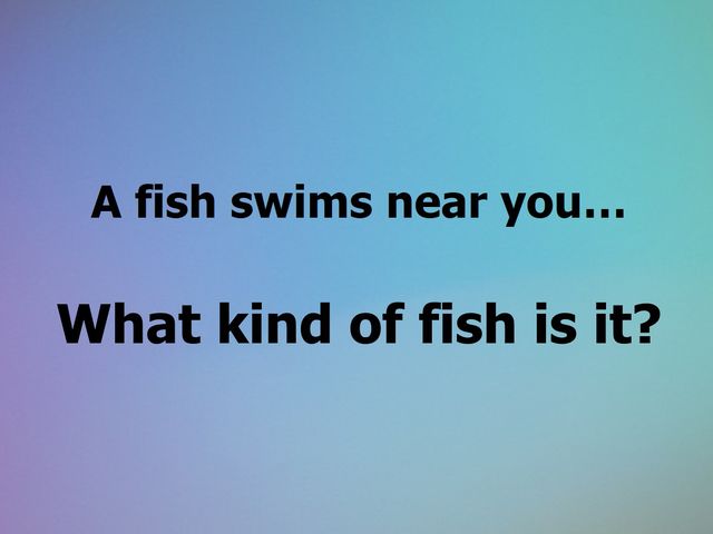 What Does This Mermaid Test Say About The Woman You Are? | Playbuzz