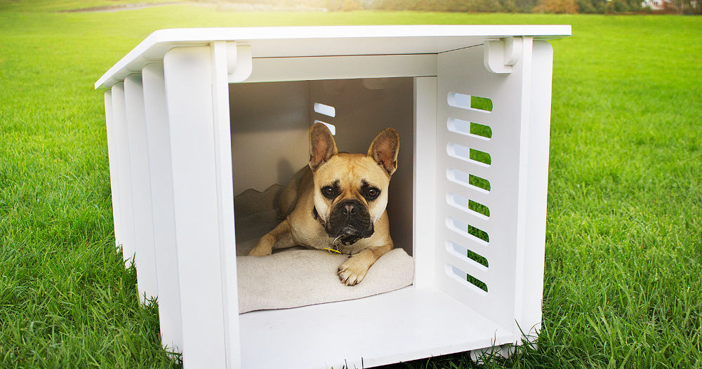 Pick Your Favorite Puppies And We'll Show You Your Dog's Dream House ...