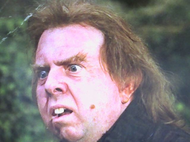 Who is the best evil Harry Potter character and best animal | Playbuzz