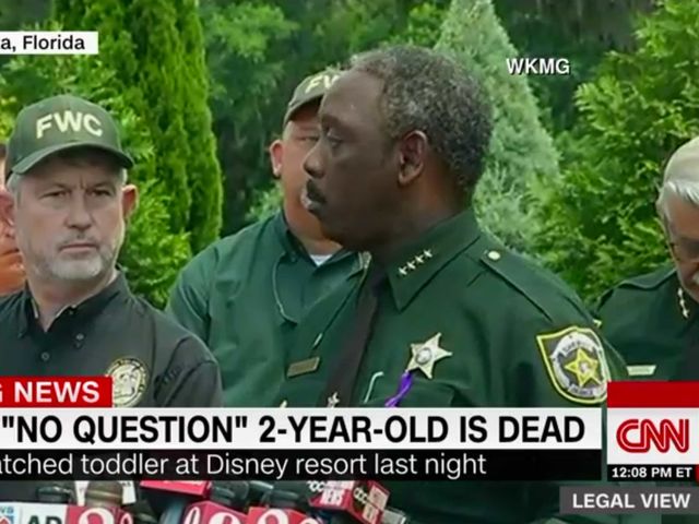 5 Things You Need to Know About The Walt Disney World Alligator Attack ...
