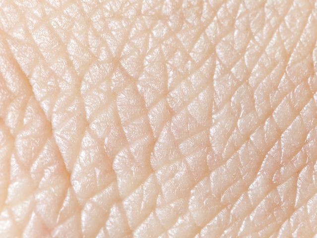 Do You Know Basic Human Anatomy? | Playbuzz