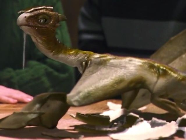 How Well Do you Know Harry Potter? | Playbuzz