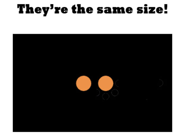 This Optical Illusion Test Will Test And Challenge Your Eyesight | Playbuzz