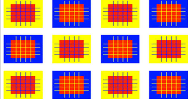 This Optical Illusion Test Will Test And Challenge Your Eyesight | Playbuzz