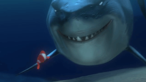 Nemo Shark Name